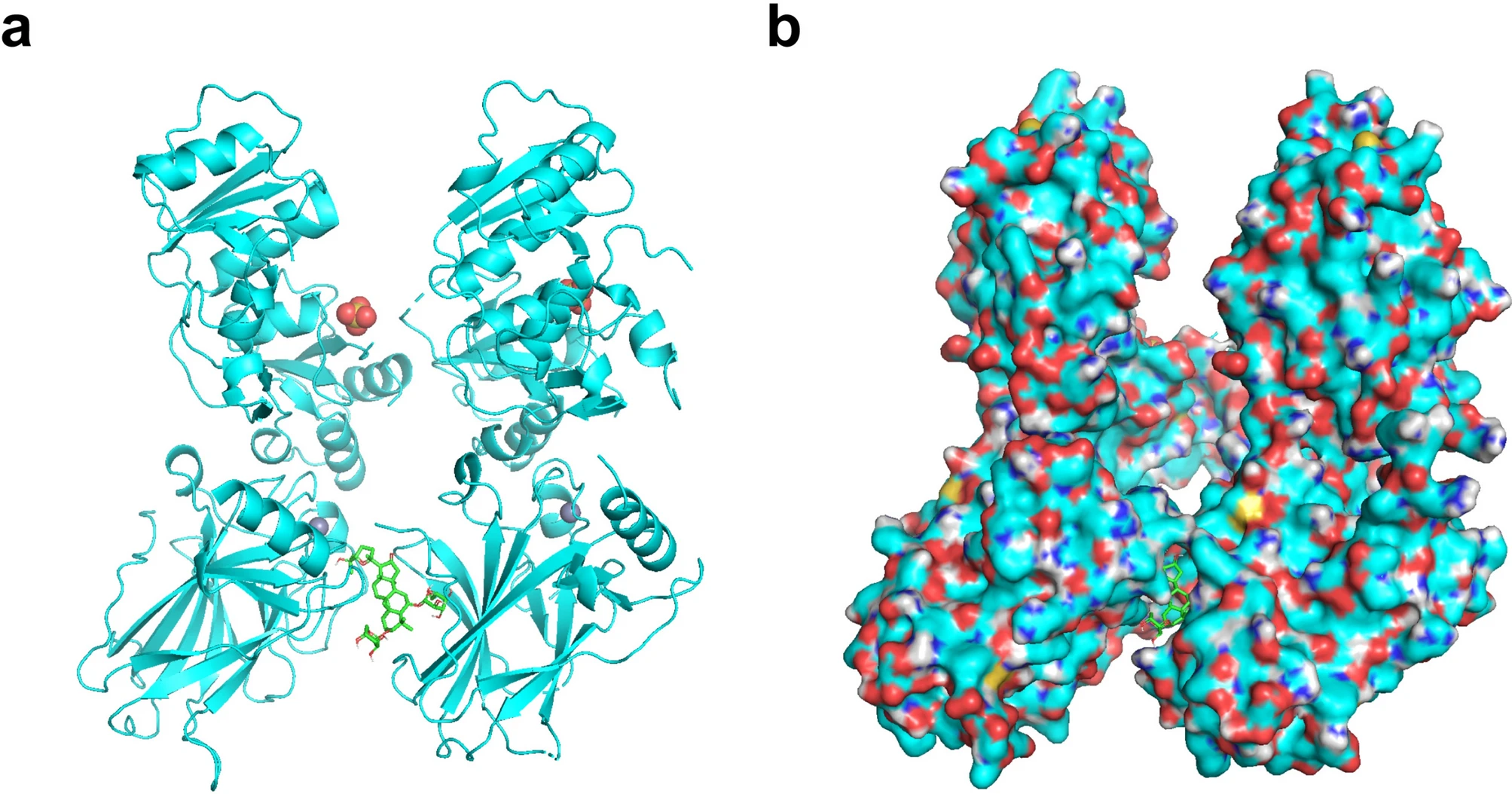 Integrating bioinformatics and ferroptosis to reveal the protective ...